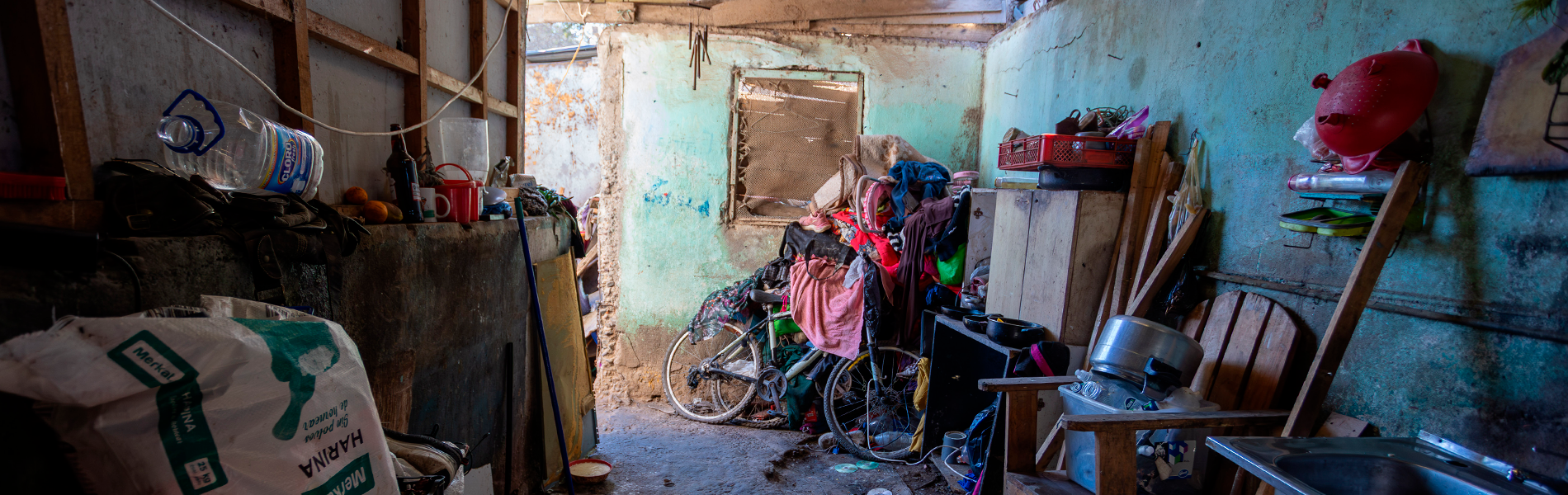1 madre, 2 hijas, 6 allegados, 10 perros, 12 gatos y "n" pericotes ...