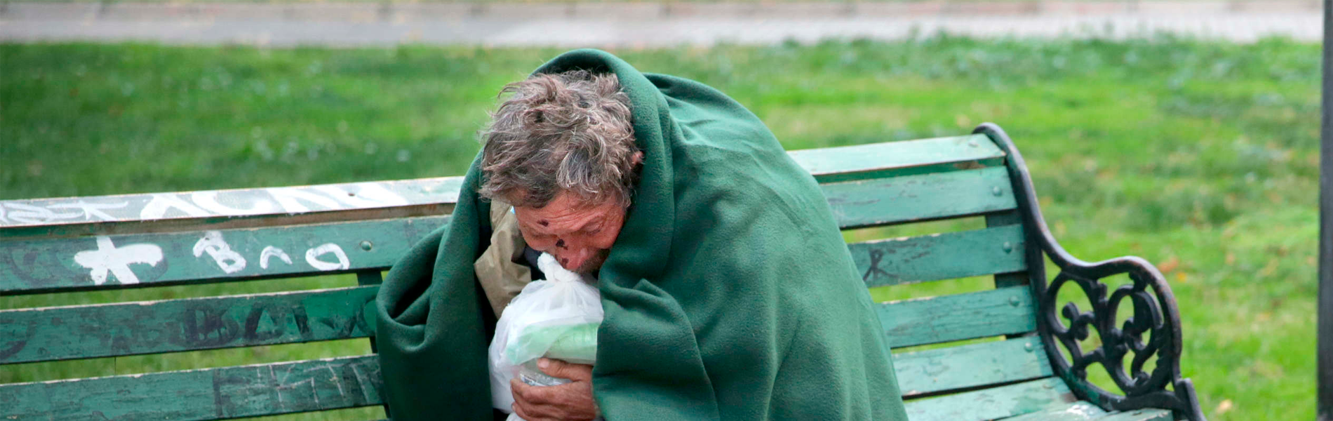 La erradicación de rucos es una medida inútil y costosa - Hogar de Cristo